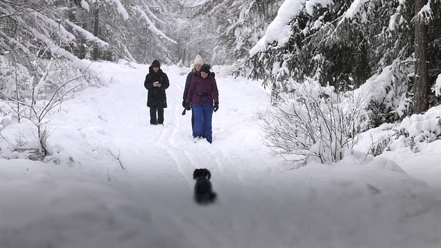 Tens of thousands without power as Storm Goretti wreaks havoc across UK