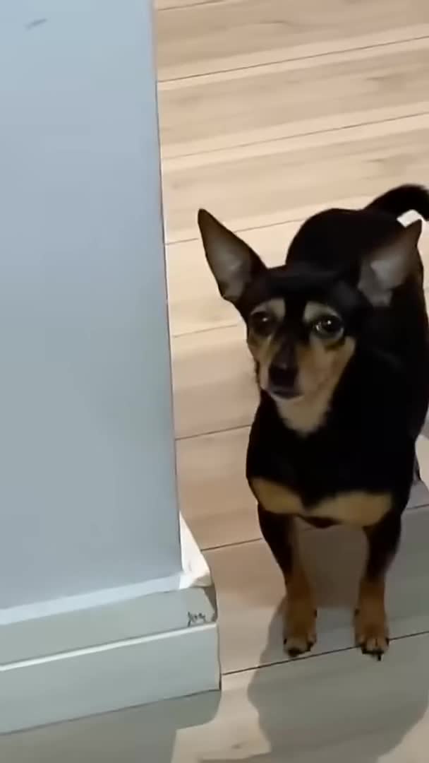 Sequência péssima de piadas