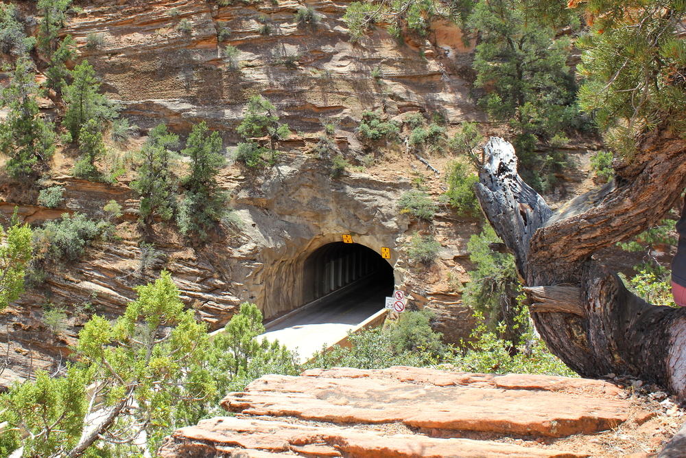 RVs now banned in Zion National Park’s most famous road