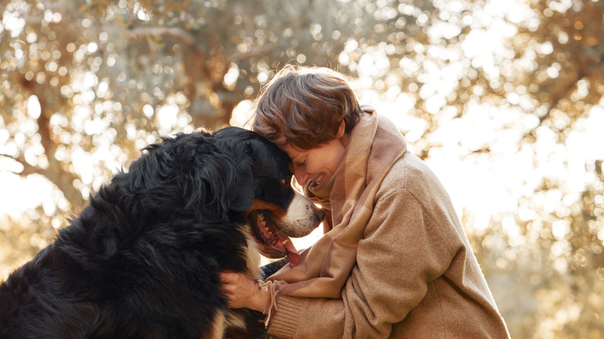 6 of the most peaceful dog breeds that bring peace, affection and ...