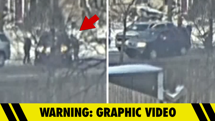 Renee Good shot in head, chest, arm, independent autopsy shows