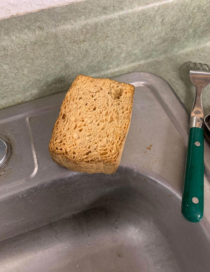 Forbidden snacks: 44 times inedible objects looked deceptively tasty