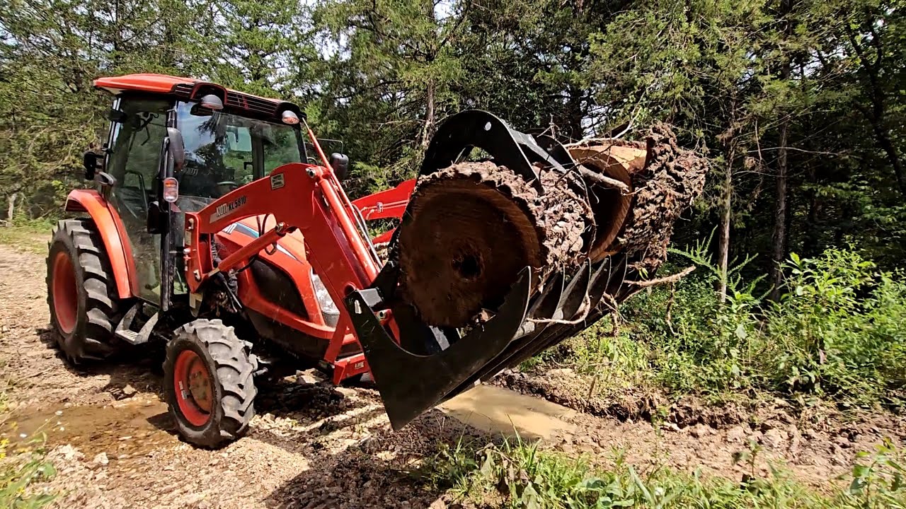 Black walnut logging and country living adventure with Sharon