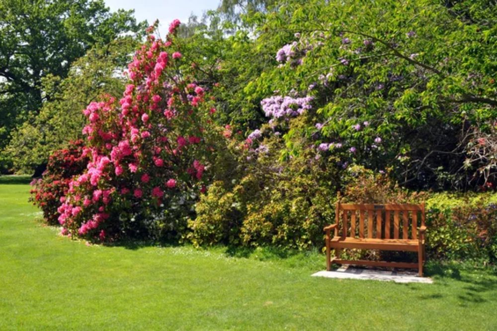 Most beautiful US botanical gardens