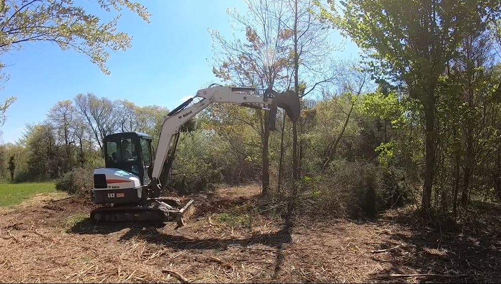 Land clearing & food plot prep | Before & after