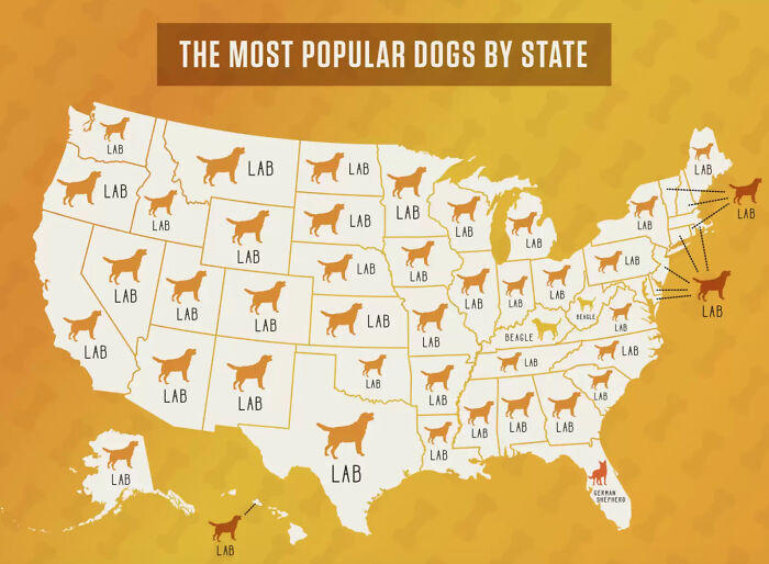 Exploring America: 41 maps that might shift your view of the US