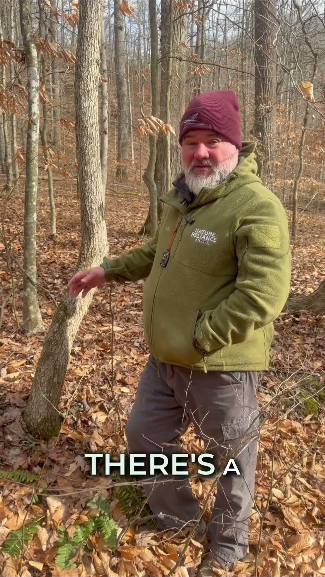 Crooked trees aren’t broken — they’re adapting