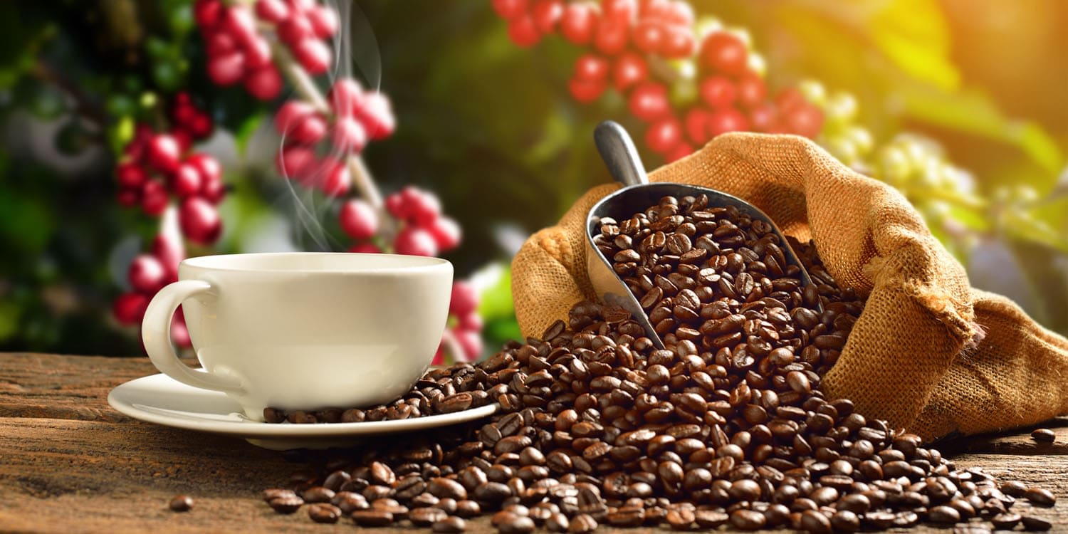 Scientists just revealed a surprising new use for coffee