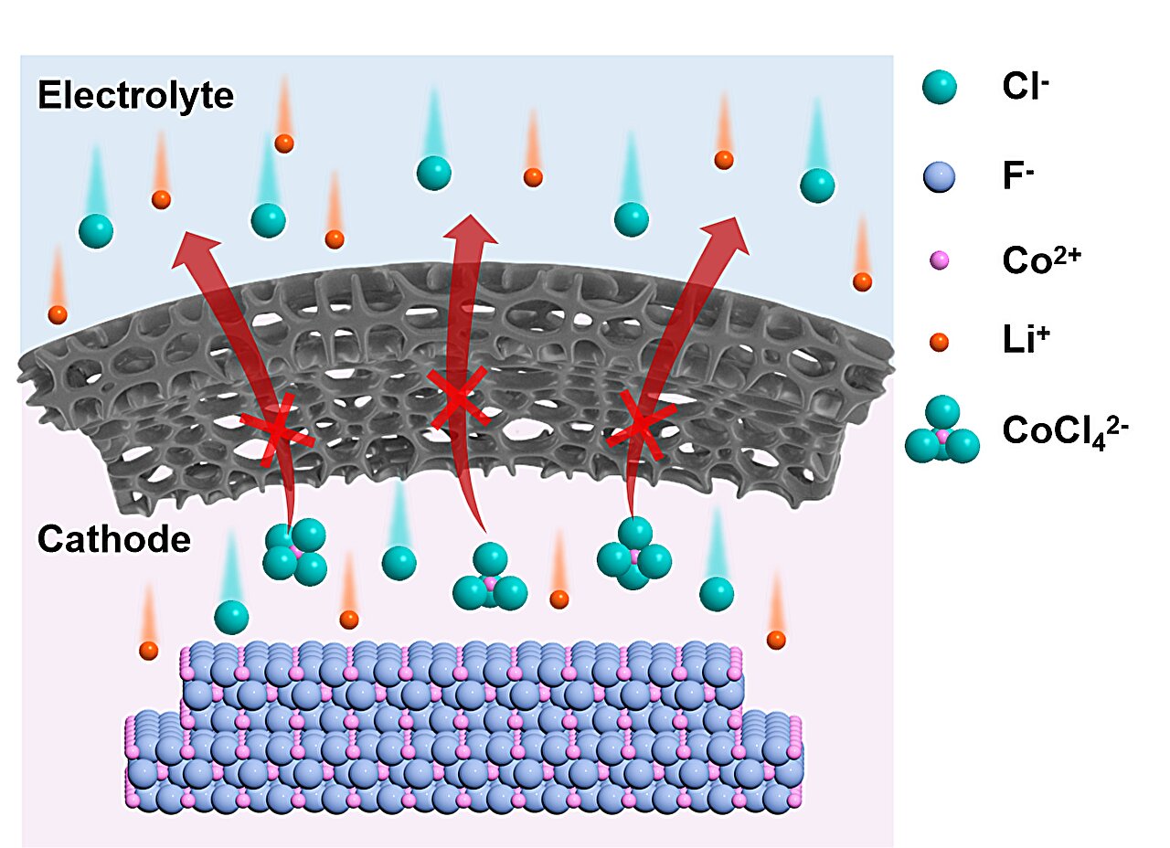 Carbon shell design curbs shuttle effect in thermal battery cathodes