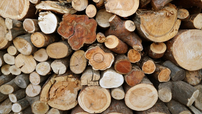 What’s the best wood for heating a house? Without wasting heat or money