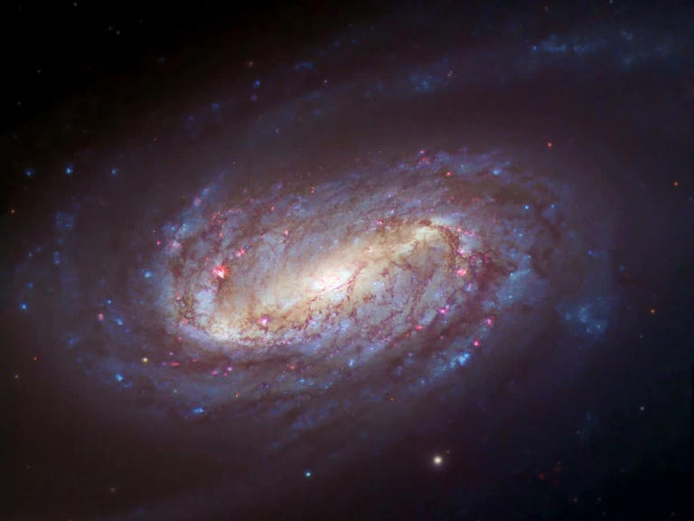 Scientists may have just identified one of the earliest known barred ...