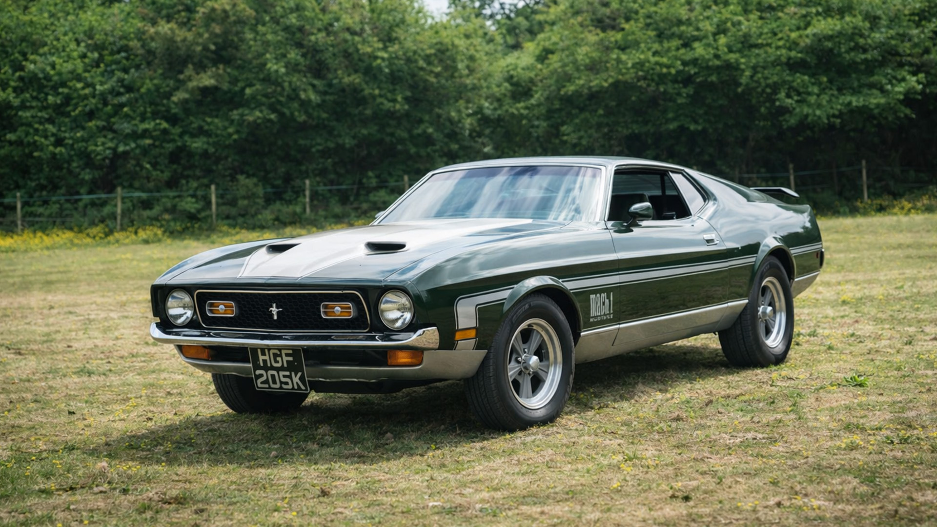 Saving a burnt Ford Mustang by myself