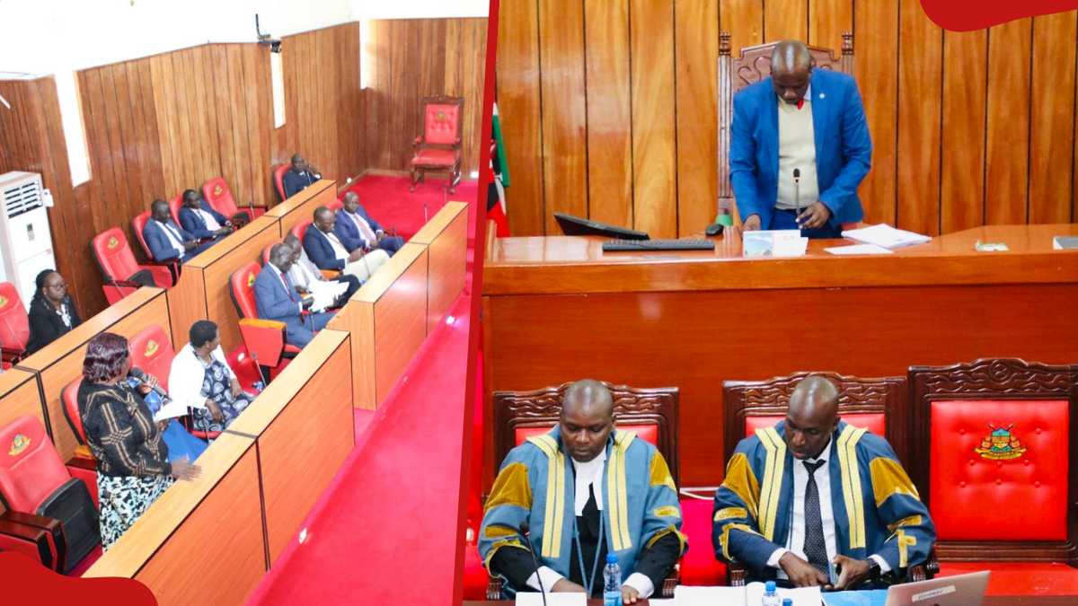 Elgeyo Marakwet: UDA MCA dies at hospital after illness