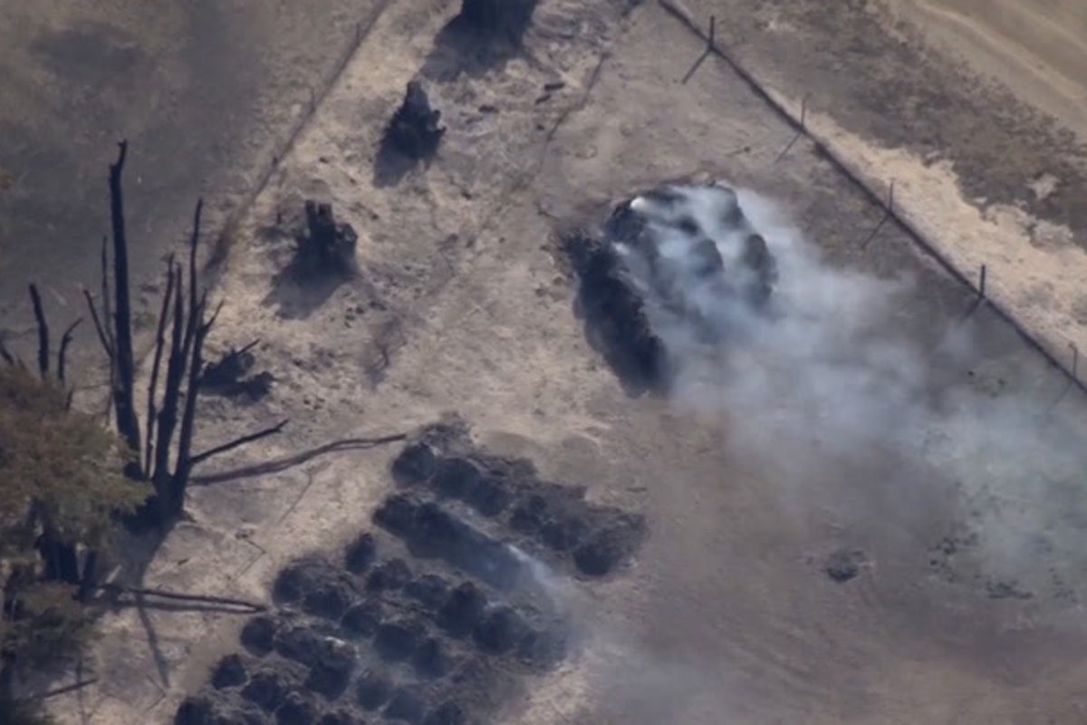 Australia bushfires: Aerial footage shows charred landscape