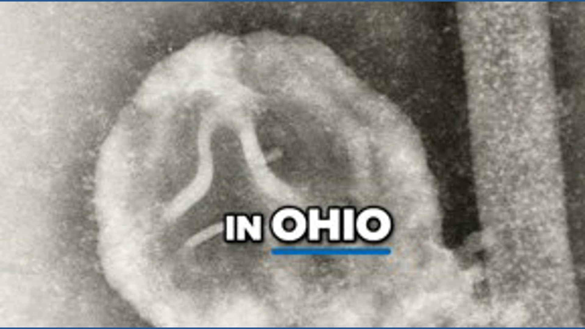 Bird flu in Ohio