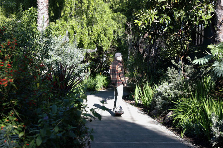 A forgotten corner of San Francisco is transformed into a public green ...