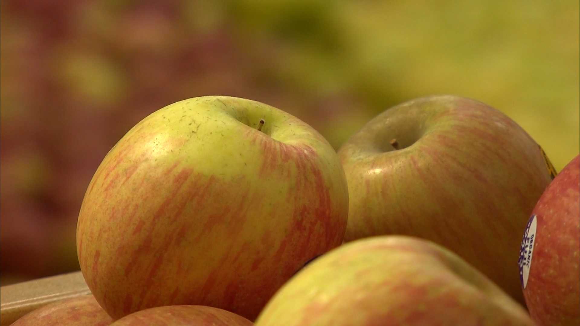 'Food is medicine': Whole foods diet can improve diabetes, new UAMS ...