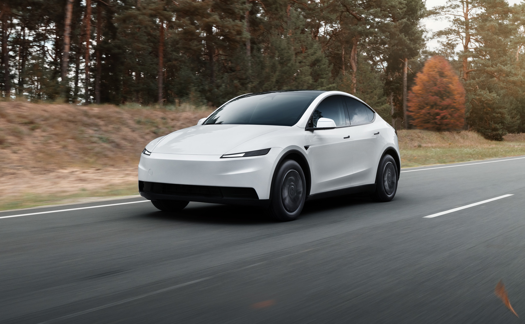 Tesla Model Y Standard, più autonomia con la Long Range: ecco ...
