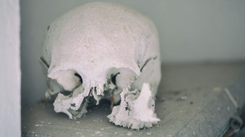 1.5 million year old human face rebuilt, and it's 'more primitive' than ...