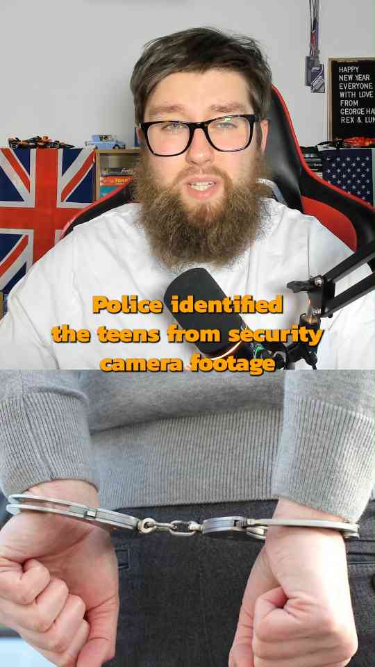 Man killed after trying to stop teens attacking car with snowballs