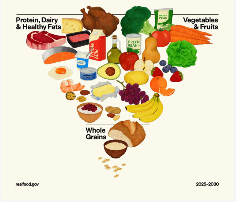 RFK Jr. reveals an "upside-down" food pyramid that puts red meat and ...