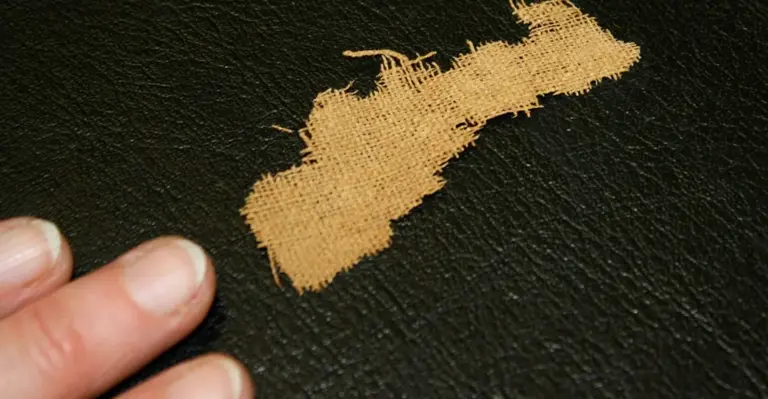 57,000-year-old cave secret ruled non-human after analysis of 50 ...