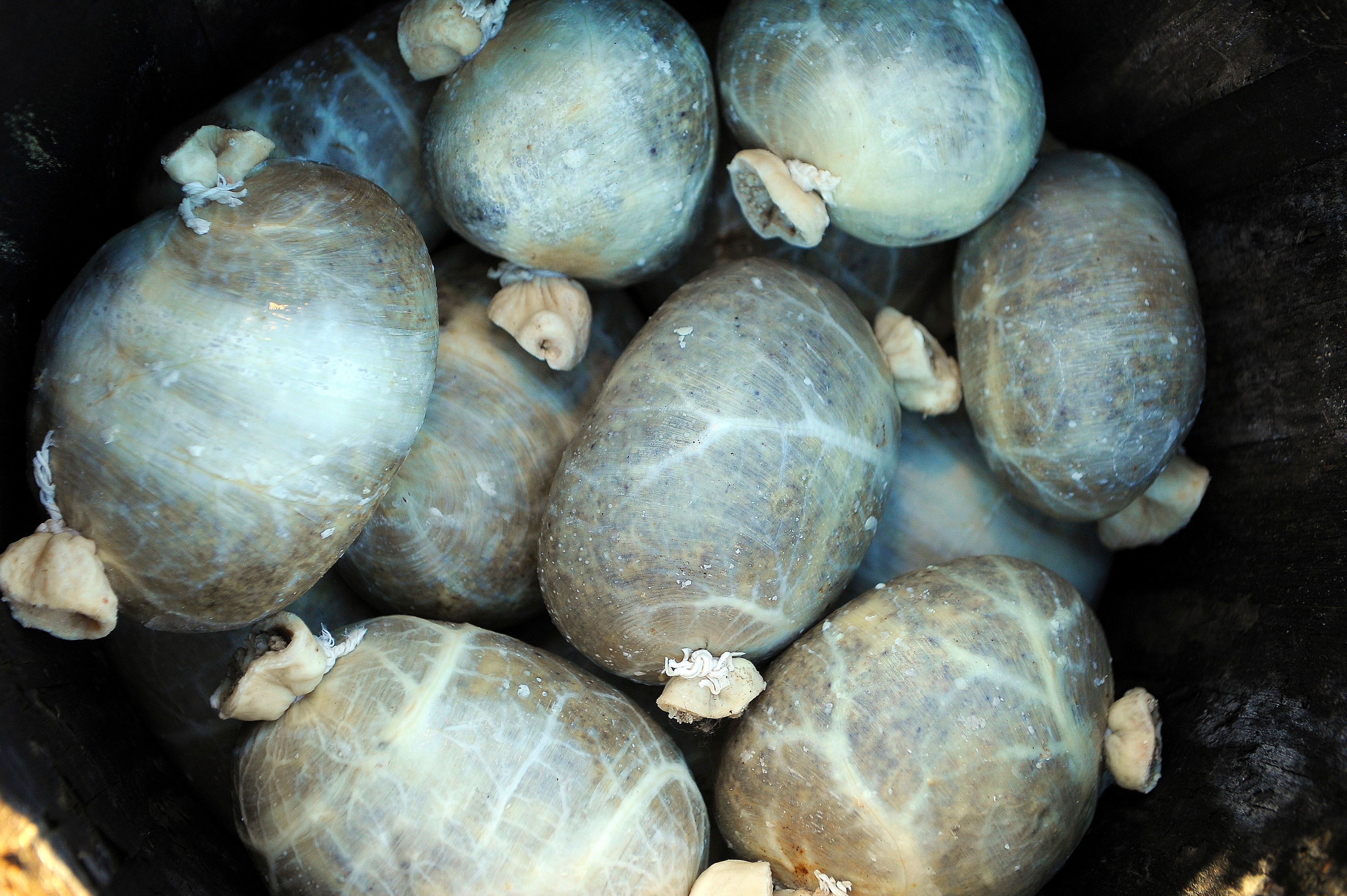 Scottish butcher Simon Howie launches bid to make haggis legal again ...