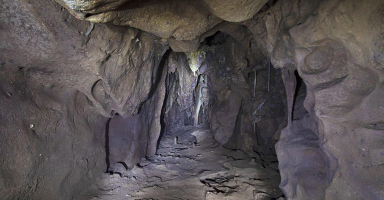 57,000-year-old cave secret ruled non-human after analysis of 50 ...