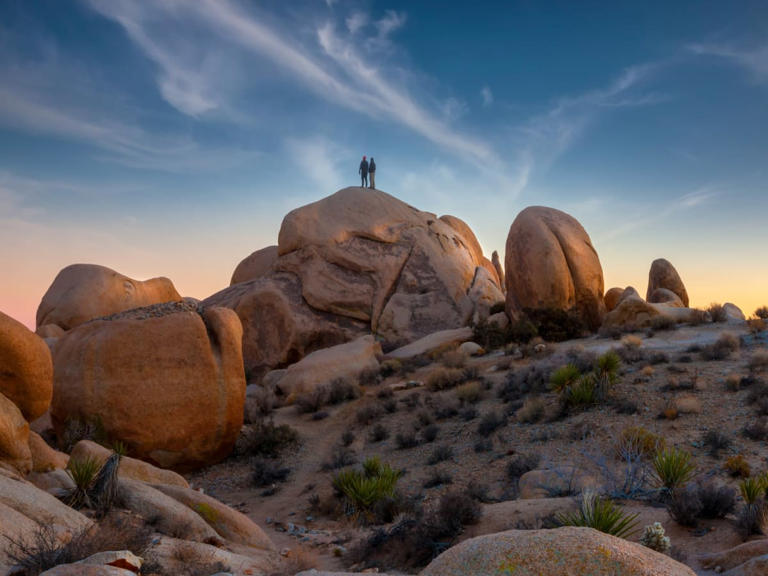 Planning a hike at Joshua Tree National Park? This new announcement ...