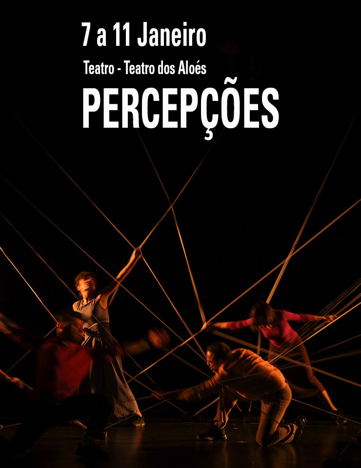 Percepções para ver até domingo no Teatro do Bairro em Lisboa