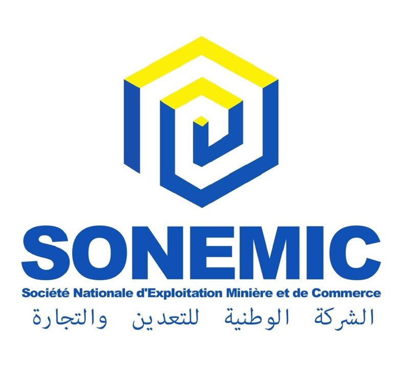 Tchad : la SONEMIC alerte sur l’existence d’un site web frauduleux