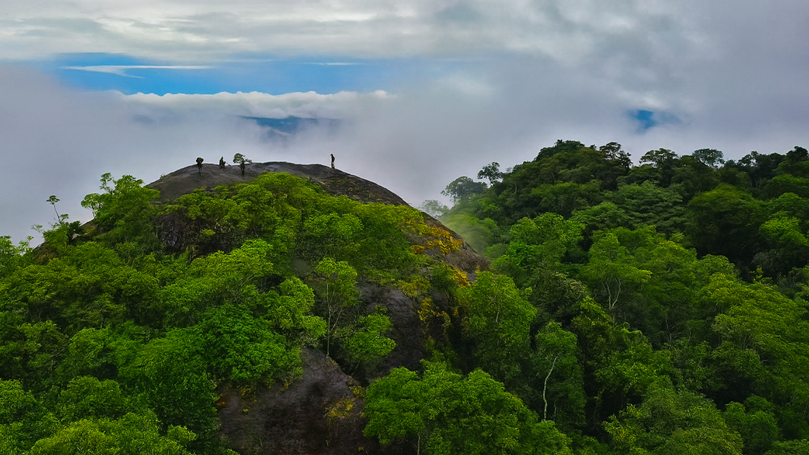 Rainforest landscapes of southwest Guyana