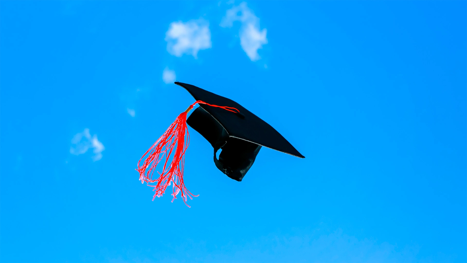 No, being a college dropout will not increase your chances of startup ...