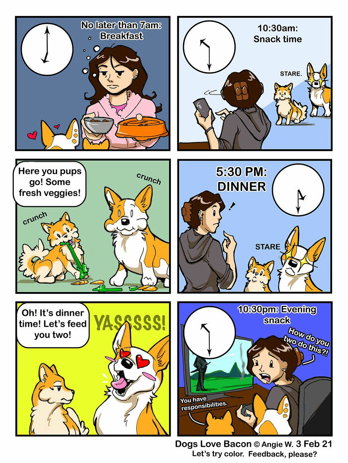 Rescue Tales: 19 relatable comics about life with two adopted dogs