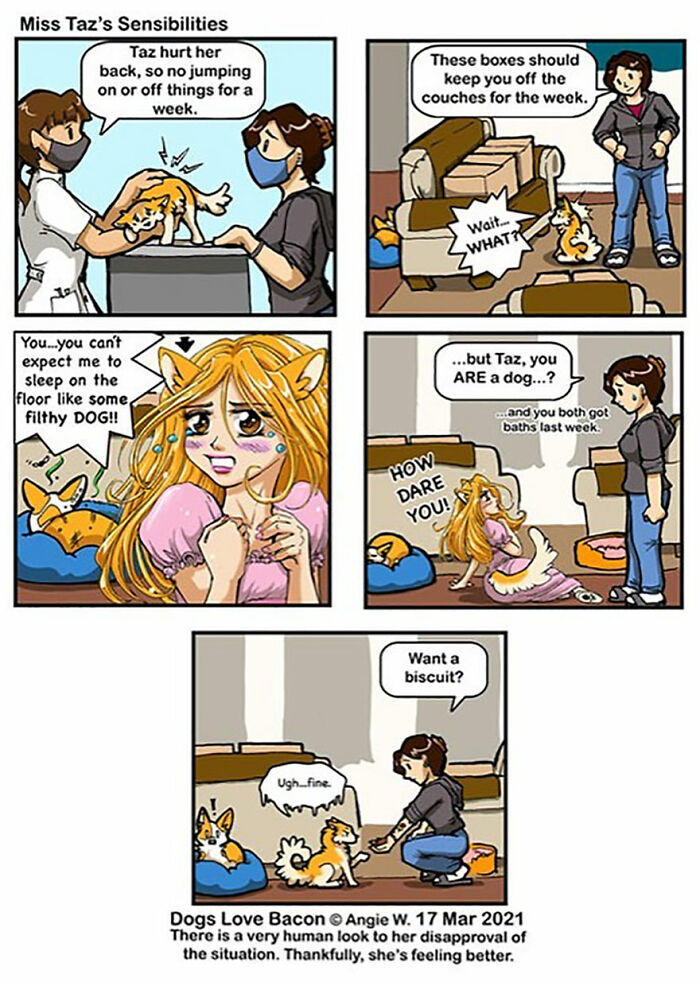 Rescue Tales: 19 relatable comics about life with two adopted dogs