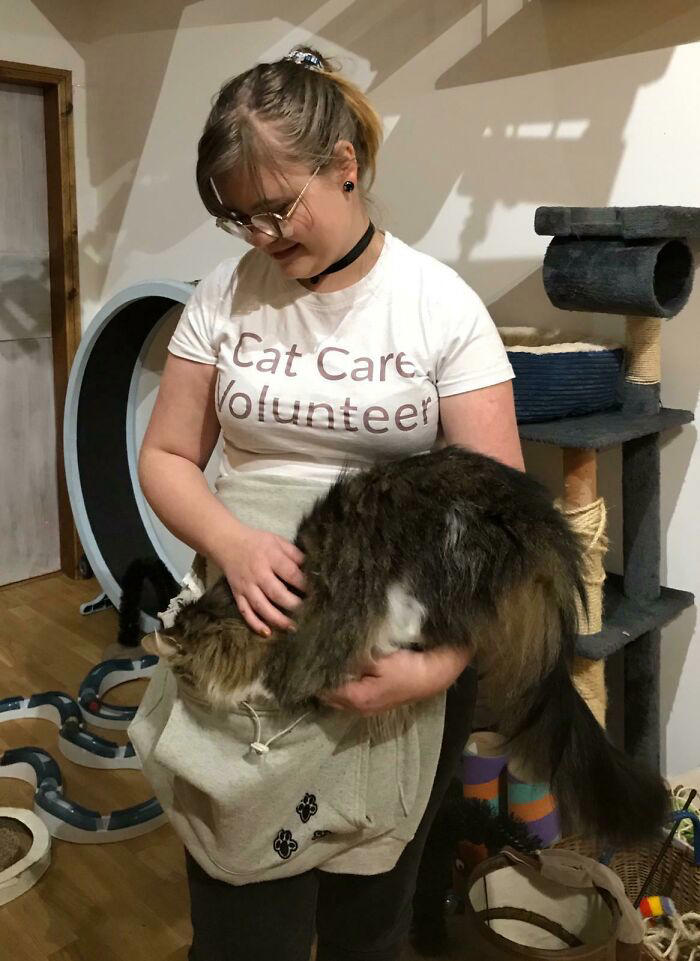35 cats who don’t understand how big they are