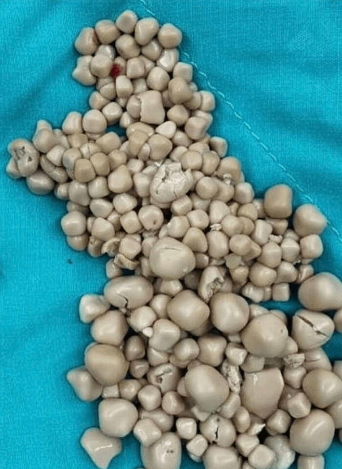 A glimpse into clinical history: 15 rare photos & stories