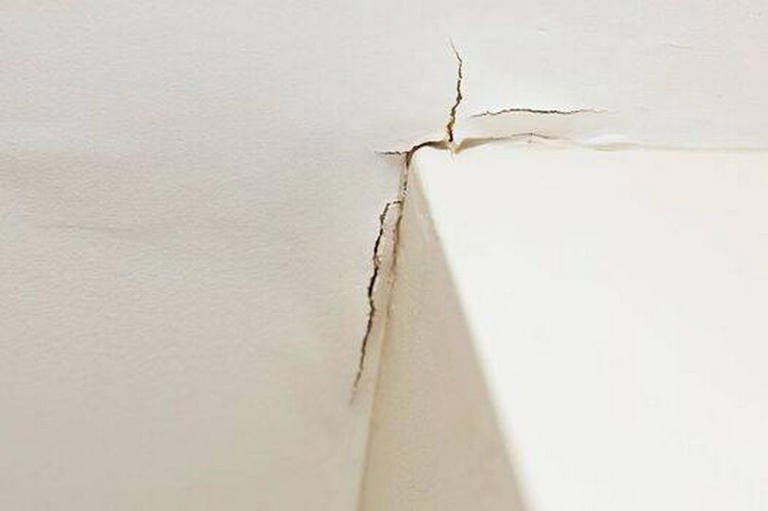 Rats and mice won't enter your home if quick 60-second task is done ...