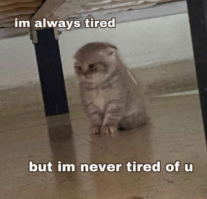 35 things people embody so deeply that their entire personality ...