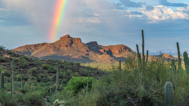 5 Phoenix hikes that are at their most stunning right after an Arizona ...