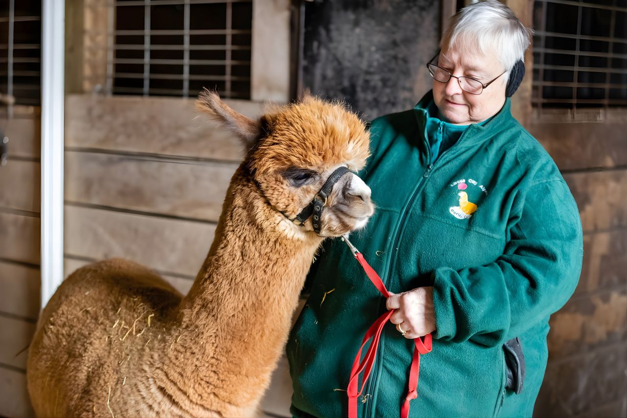 This sleepy Midwest town is the ‘circus capital of the world’—with ...