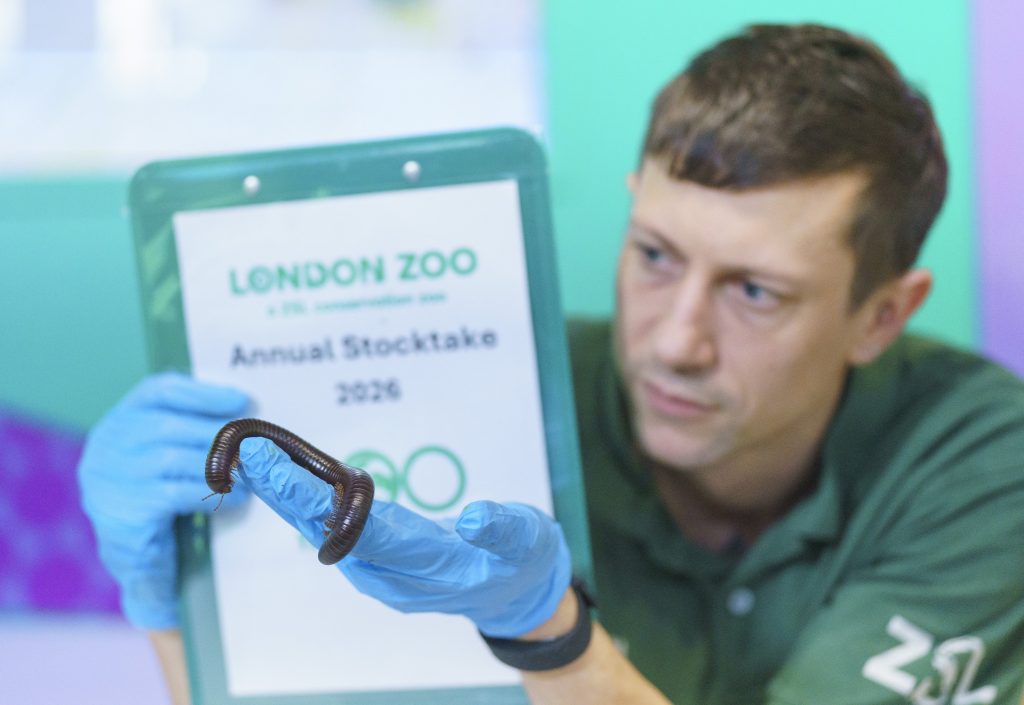 200-year-old zoo conducts annual animal count to start new year