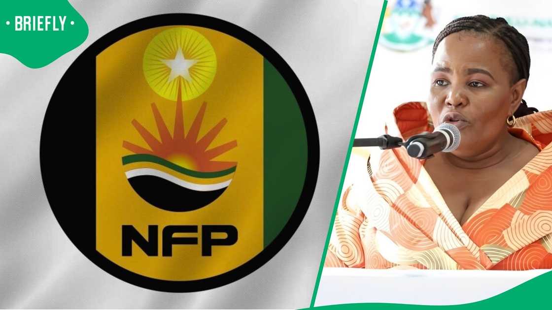 NFP suspends Mbali Shinga after she defied party orders, South Africans ...