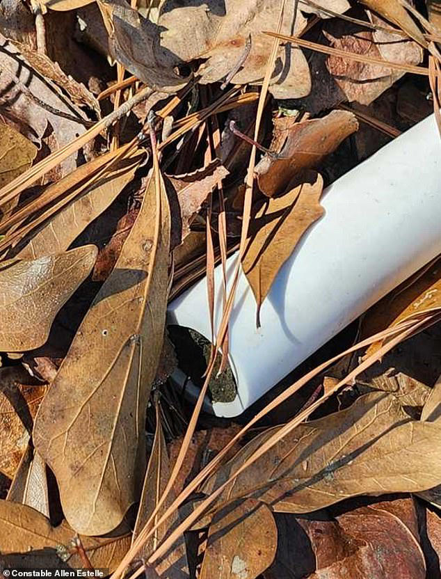 Painful cause of death revealed for adorable child, 4, found dead in ...