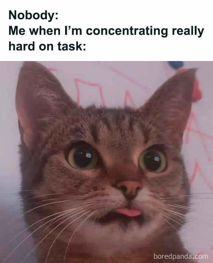 44 hilarious workplace memes that may help you get through your workday ...