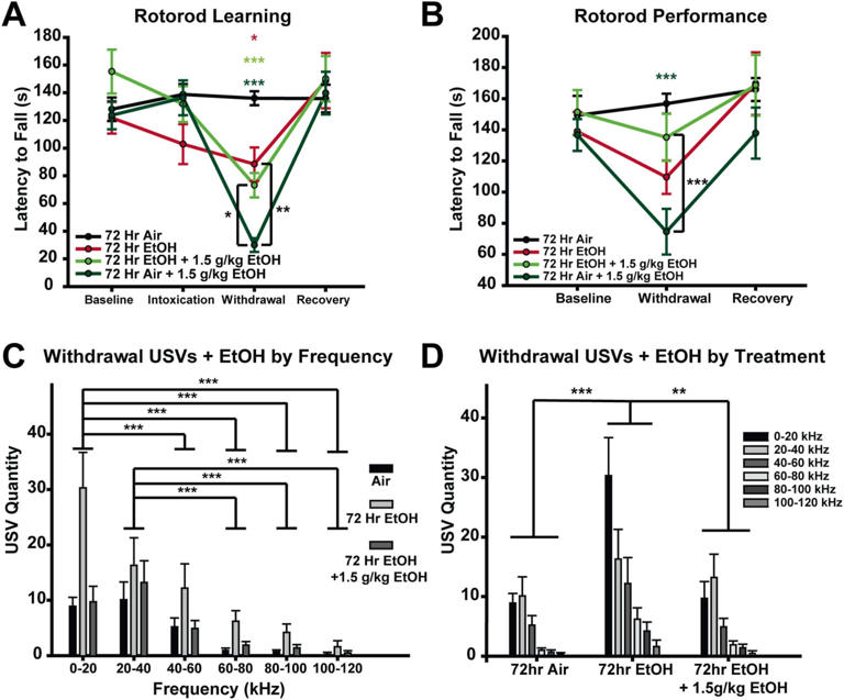 The brain's cerebellum may ease alcohol withdrawal symptoms