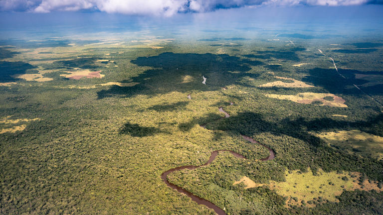 Trekking with gorillas in the warm heart of Africa