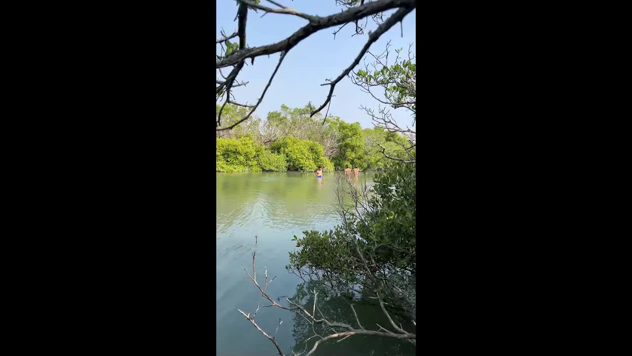 Man falls into river while filming on mangrove trees in Tainan, Taiwan
