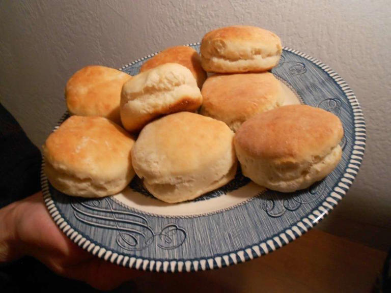 My secret recipe for soft and tender hybrid one hour rolls!