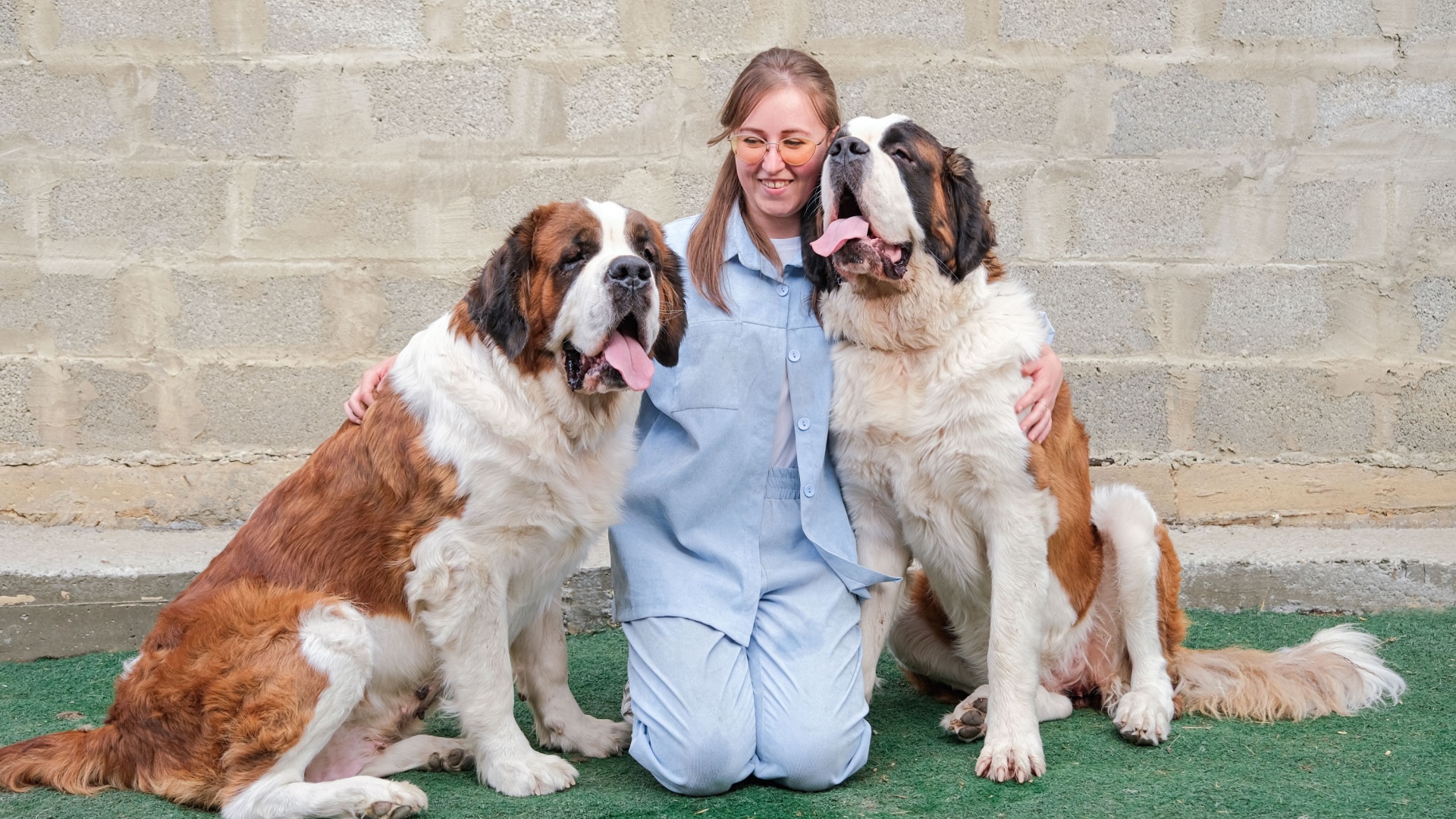Meet 5 dog breeds that can weigh as much as a motorcycle